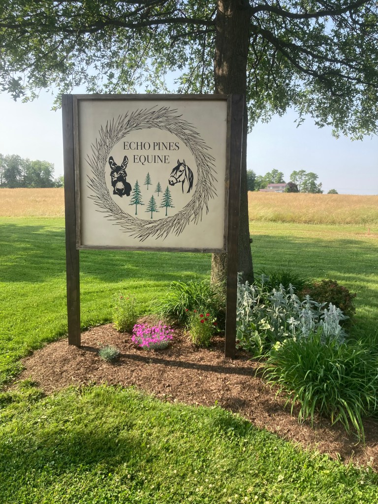 Echo Pines Equine
